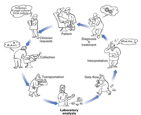 6 Diagnostic Microbiology And Laboratory Methods Pocket Dentistry