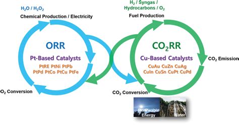 The Oxygen Reduction Reaction Orr And The Carbon Dioxide Reduction