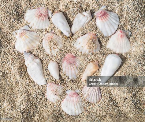 모래 배경에 물에 바다 조개껍데기로 만든 사랑 하트 상징의 창조적 인 장면 미니멀한 여름 컨셉 트렌디 한 여름 사랑 아이디어 해변 조개 미학 플랫 레이 개념에 대한 스톡