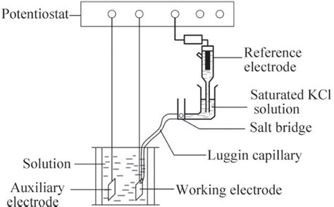 Schematic Diagram Of Apparatus For The Determination Of Polarization Download Scientific