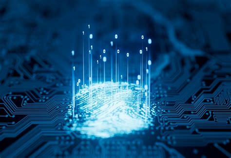 GDPR Turns Five PECB Insights