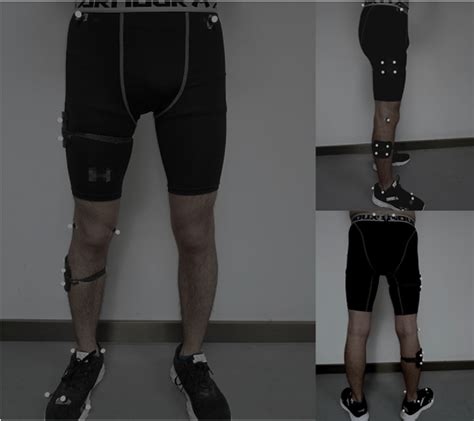 figure 1 from temporal kinematic differences between forward and