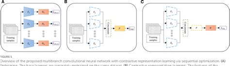 figure 1 from multibranch convolutional neural network with contrastive