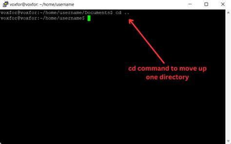 How To Use The CD Command To Change Directories In Linux Like A Pro