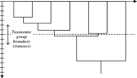 Dendrogram Representation Of Clustering 52 Download Scientific Diagram