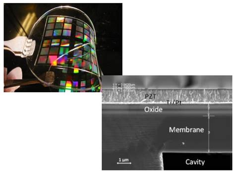 We Shall Exhibit At “10th Wearable Expo” Electronics Mems Event