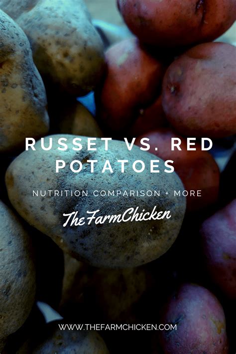 Raspberry Vs Strawberry Comparison And Nutrition Thefarmchicken