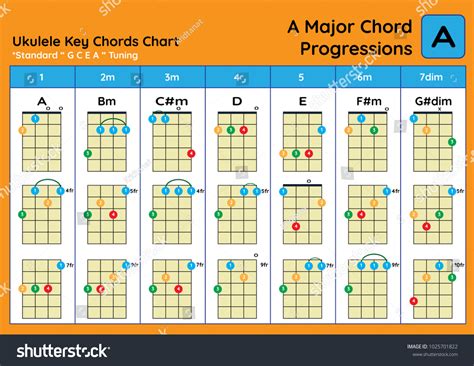 Ukulele Chord Chart Standard Tuning Ukulele Stock Vector Royalty Free 1025701822