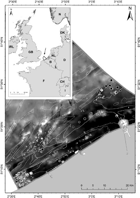 Distribution Of The Sample Locations In The Shallow Subtidal And Low