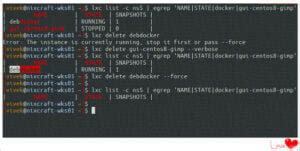 How To Delete Container With Lxc LXD Command On Linux NixCraft