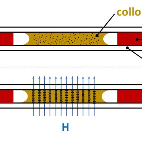 Schematic For Film Assembly Setup Download Scientific Diagram