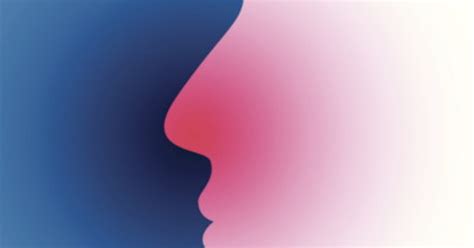 비염수술 코성형 코의 기능과 미용 동시에 해결