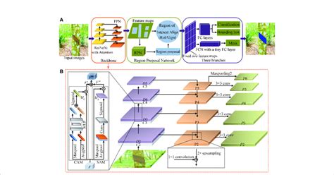 A Structure Of Natural Rubber Tree Tapped Area Detection And