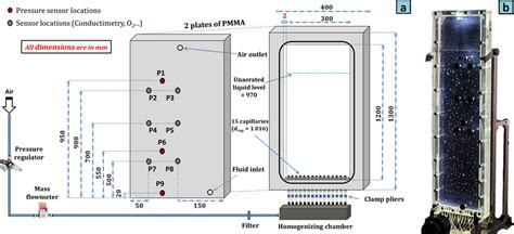Experimental Setup A Schematic Representation B Image Of The Download Scientific Diagram