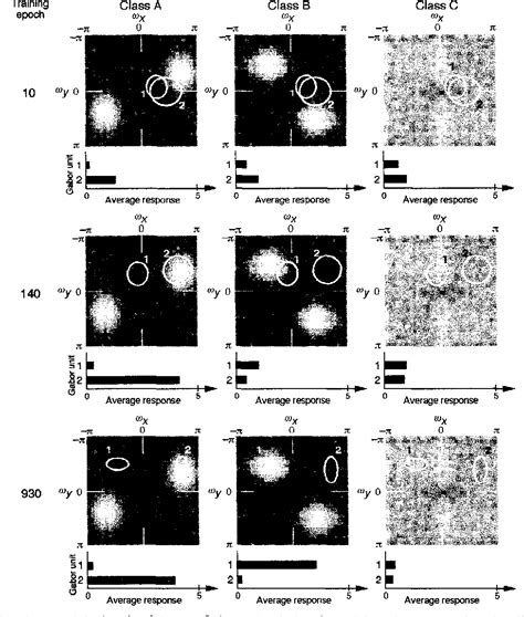 figure 3 from a neural network incorporating adaptive gabor filters for