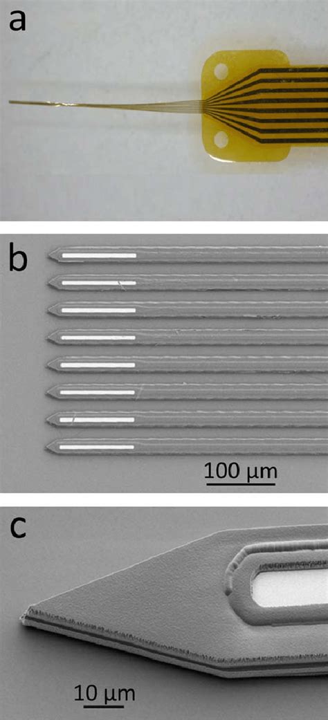 An 8 Channel A SiC Microelectrode Array MEA Developed Using Download Scientific Diagram
