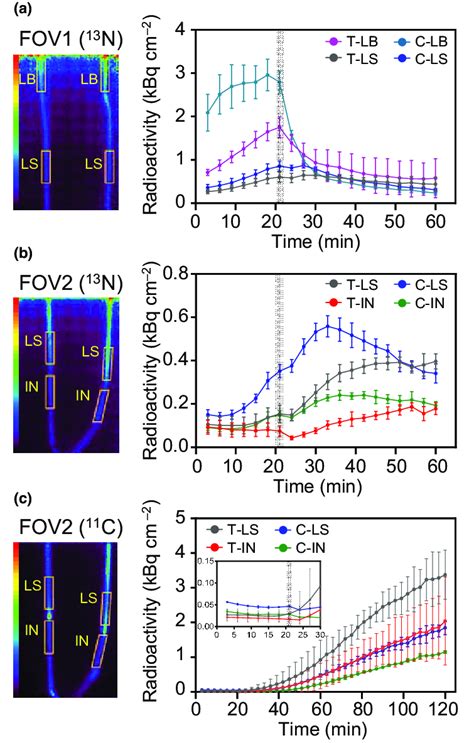 Quantification Of The Radioactivity During Time Activity Curves For The Download Scientific