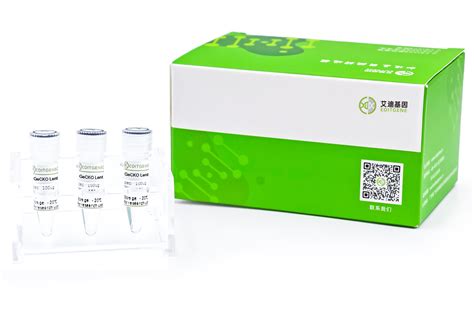 基因编辑服务 基因敲除细胞 点突变 文库筛选 基因插入 Crispr检测 稳转株构建 艾迪基因editgene 艾迪基因