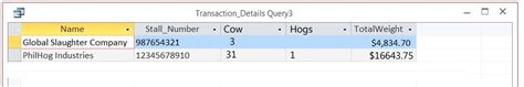 Sql How To Make Count Row Result And Become A Column MS ACCESS QUERY Stack Overflow