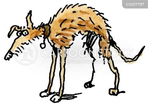 Skinny Dog Cartoons And Comics Funny Pictures From Cartoonstock