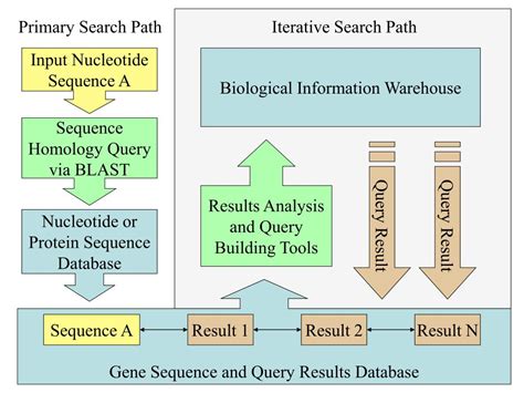 Ppt Gene Sequence And Query Results Database Powerpoint Presentation Id6908538
