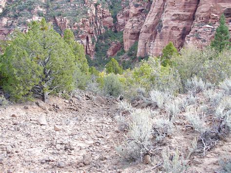 Hop Valley Heaven 2 Porn Pictures Xxx Photos Sex Images 1555529 Pictoa