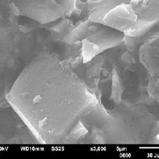 Morphology N TiO Enlarge X Download Scientific Diagram
