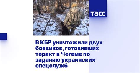 В КБР уничтожили двух боевиков готовивших теракт в Чегеме по заданию украинских спецслужб