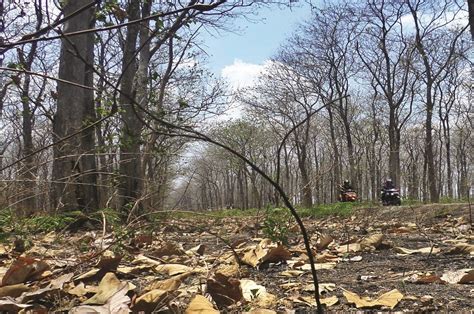 Puisi Puisi Aiman Yusuf Suku Sastra