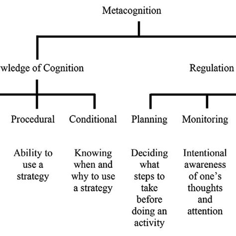 Taxonomy Of Metacognition Instruction Download Scientific Diagram