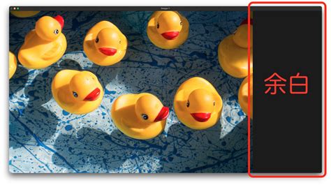 【python・opencv・matplotlib】2種類の画像を表示する方法について解説imshow Codevace