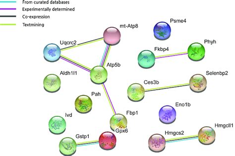 protein protein interaction scheme generated from differentially