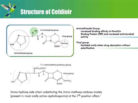 Cefexta Cefdinir An Extended Spectrum Antibiotic Pptx