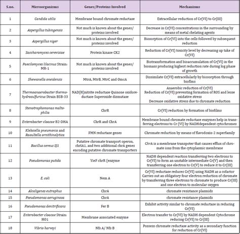 Hexavalent Chromium Toxic And Genotoxic Effects And Its Bioremediation Strategies