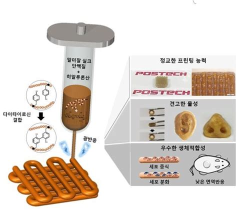 포스텍 말미잘 기반 바이오 3d프린팅 소재 개발