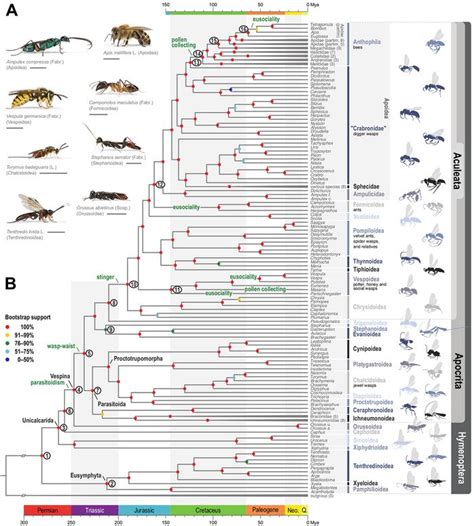 Scalable Computational Molecular Evolution Software And Data Analyses