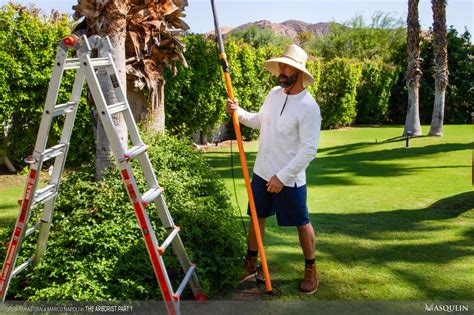 THE ARBORISTS PART 1 MASQULIN