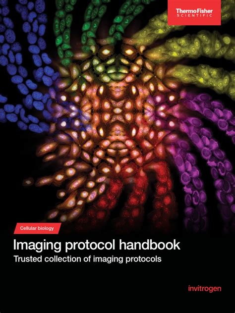 imaging protocol handbook pdf immunohistochemistry staining