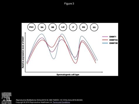 Fatma Uysal Gokhan Akkoyunlu Saffet Ozturk Ppt Download