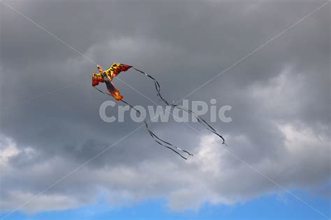 연 연날리기 민속놀이 전통놀이 놀이 사진 이미지 일러스트 캘리그라피 청랑작가