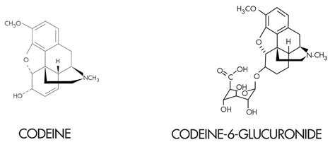 Codeine And Its Glucuronide Metabolite In Plasma Waters