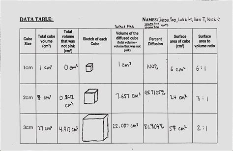 Cell Size And Diffusion Lab Jasons Yeetus Cell Size And Diffusion Lab Jasons Yeetus