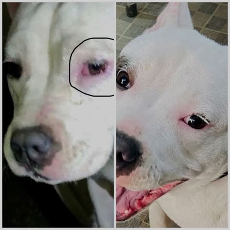 dr muhammad nadeem on linkedin before and after treatment 🥰🥀