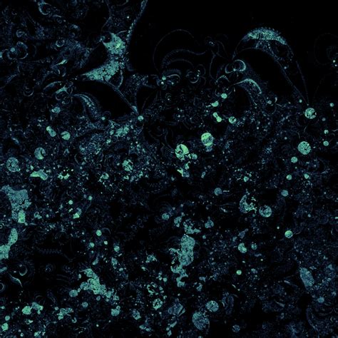 Neuralfractal A Visual Exploration Of Neural Dynamical Systems