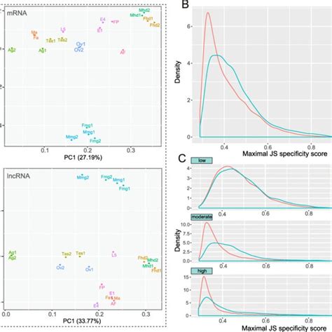 discrete expression pattern and tissue specificity of lncrnas in c