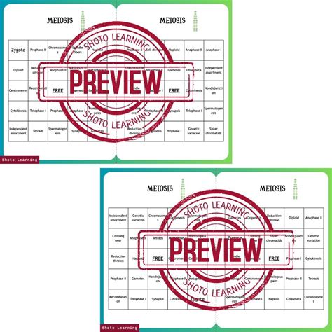 Meiosis Word Scramble Fun Biology Activity With 30 Key Terms