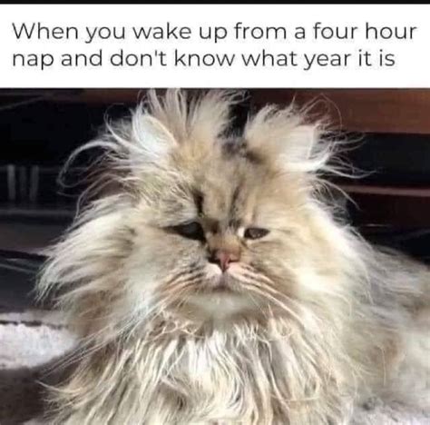 The Moho Ot On Linkedin Rather Late In The Day And The Month … But Here Is Our First Moho Monday…