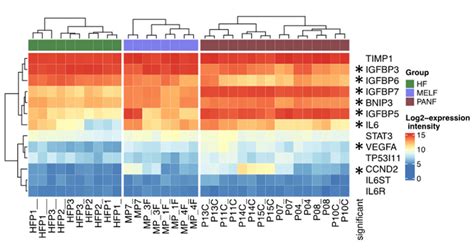 Expression Of Selected Genes In Normal Fibroblasts Hfs Download