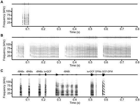 Example Waveforms Upper Trace And Spectrograms Lower Trace Of