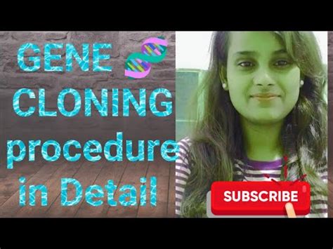Gene Cloning Procedure In Detail YouTube